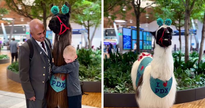 People Online Are Suddenly In Love With Portland Airport After ...