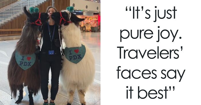 People Online Are Suddenly In Love With Portland Airport After ...