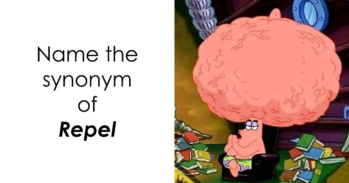 Everyone Should Get At Least 15/20 For This English Vocabulary Trivia Quiz