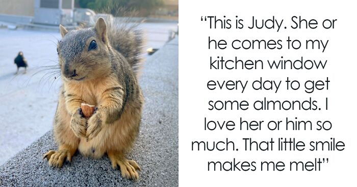 50 Absolutely Adorable Animal Pics To Save Your Day (New Pics) | Bored ...