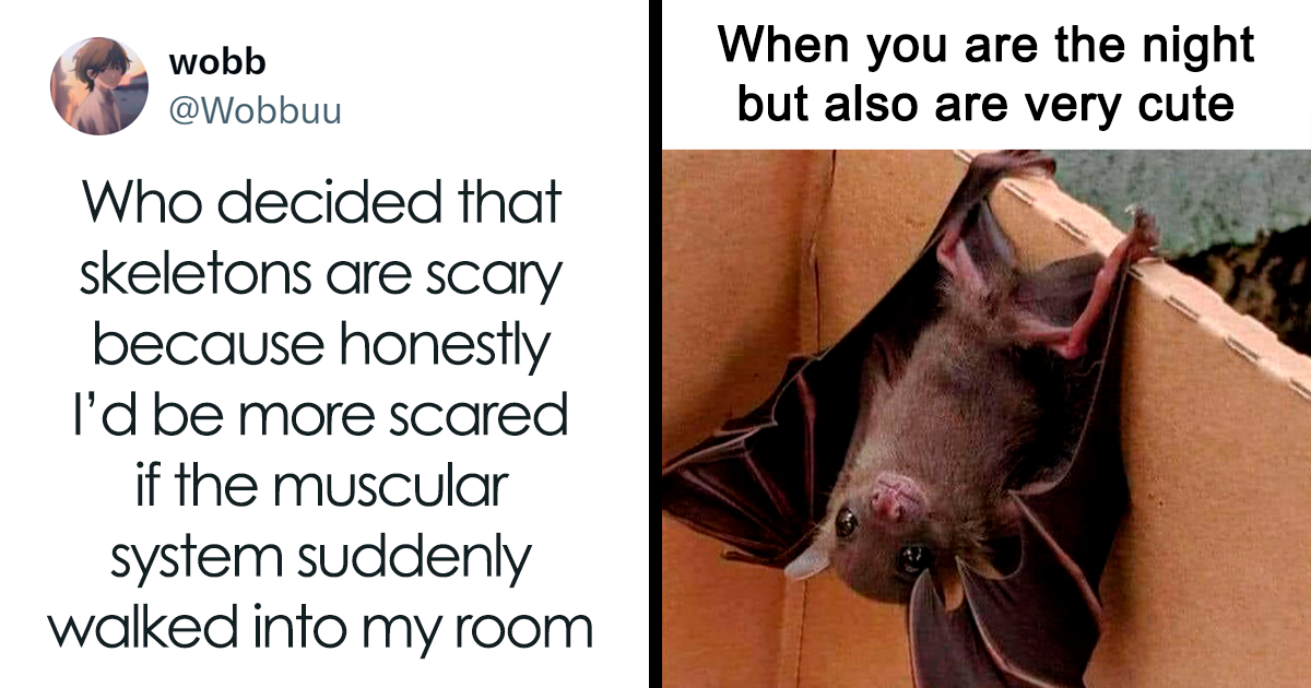 In Honor Of Halloween, Here Are 30 Silly And Spooky Pics And Memes ...