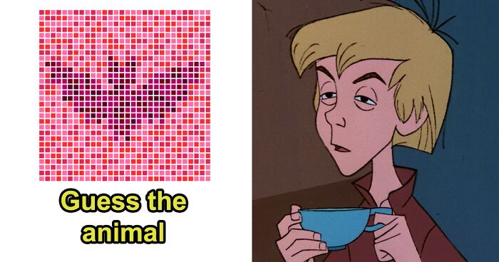 Only 18% Can Get A Perfect Score On This Color Blindness Test