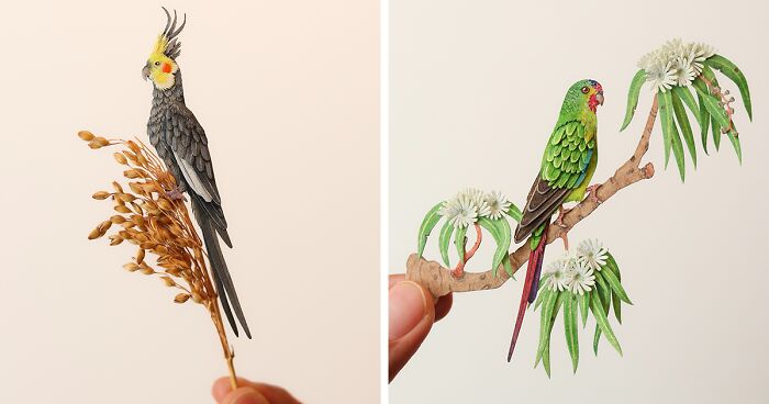 I Create Paper Art, And Here’s My Collection Of 40 Miniature Parrots ...