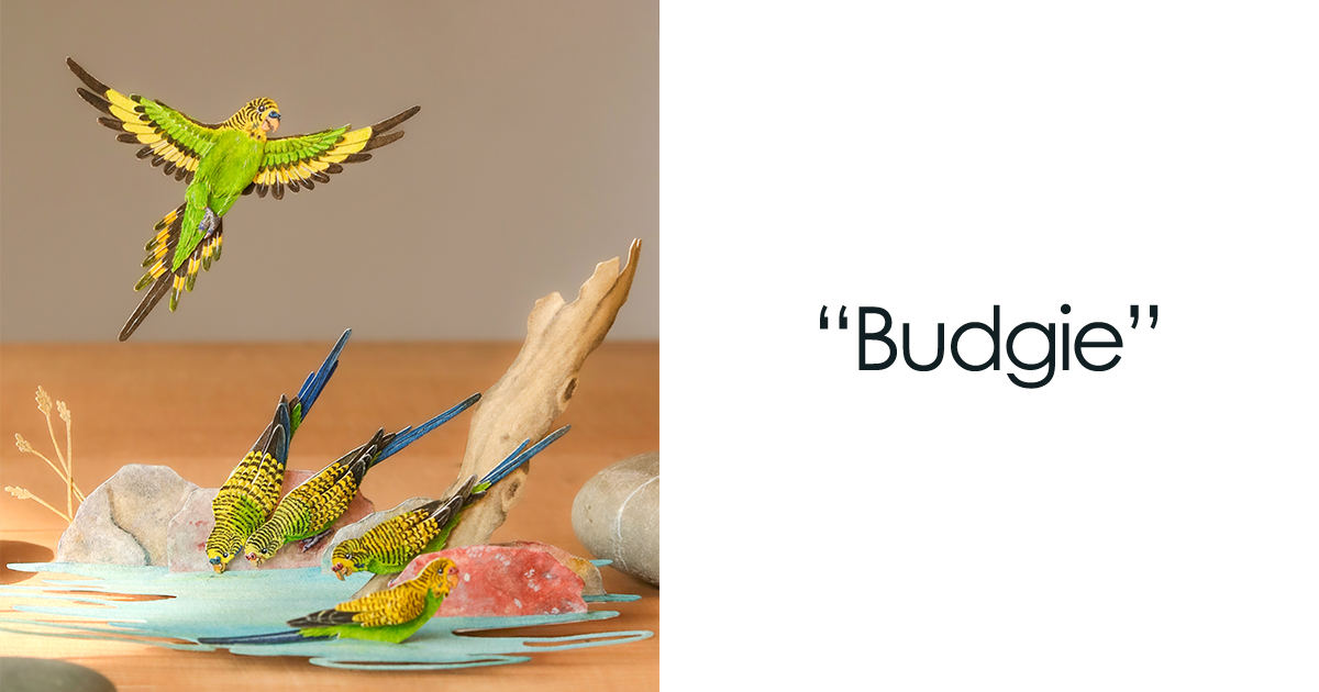 I Create Paper Art, And Here’s My Collection Of 40 Miniature Parrots ...