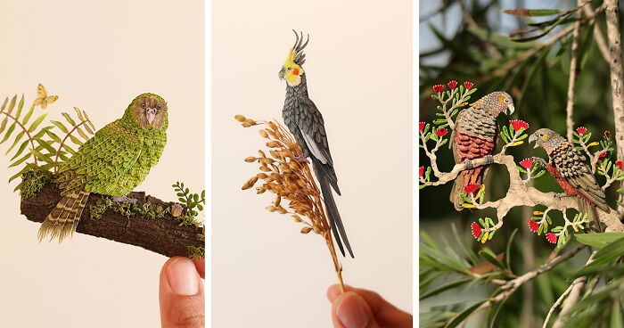 I Create Paper Art, And Here’s My Collection Of 40 Miniature Parrots ...