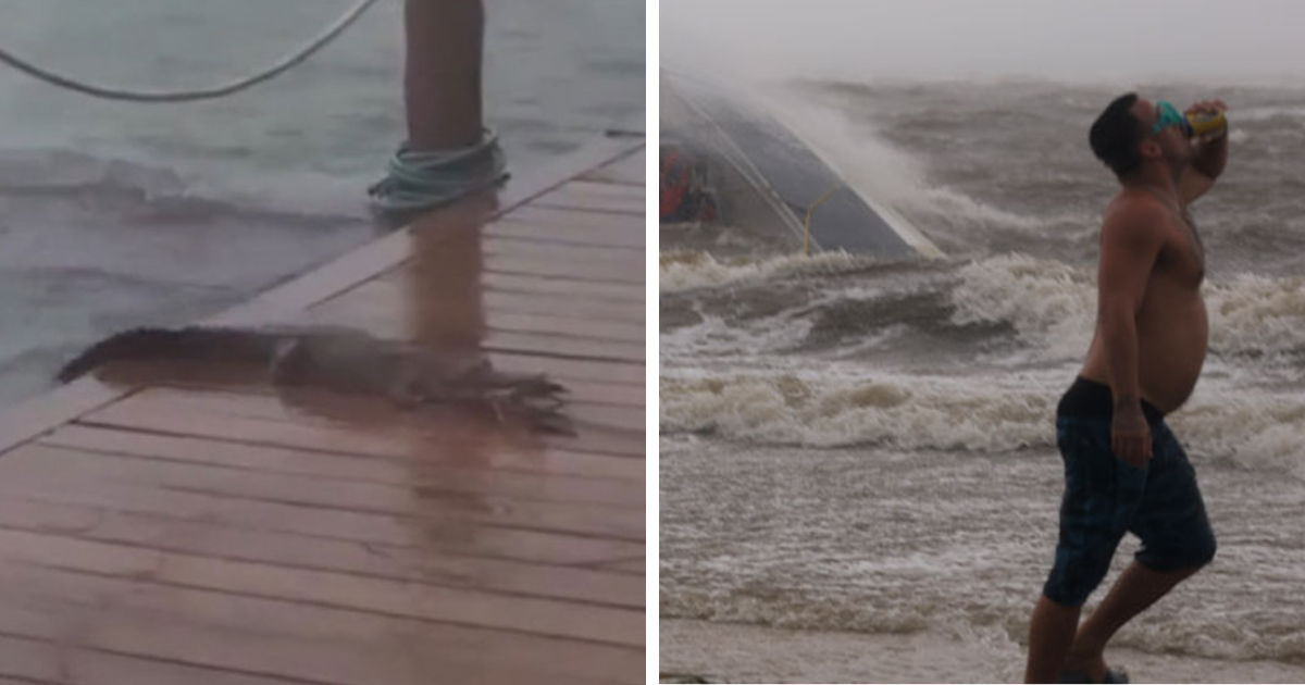 16 Most Disturbing Photos And Videos Documenting Hurricane Helene’s ...