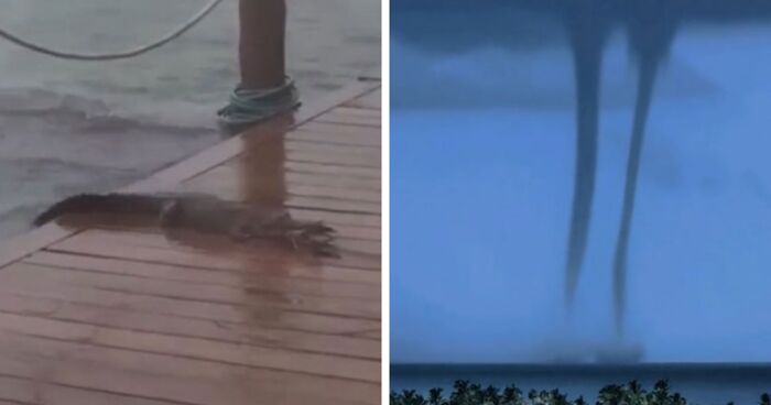 16 Most Disturbing Photos And Videos Documenting Hurricane Helene’s ...