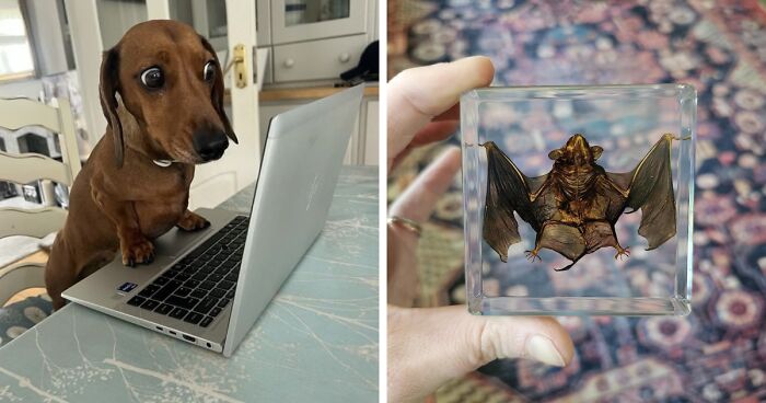 Nightmare Fuel: 23 Creepy Things We Can’t Believe Amazon Actually Sells