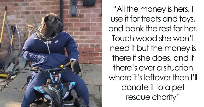 Hilarious Videos Of Mist The Cane Corso Dressed As Human Go Viral, Earn ...