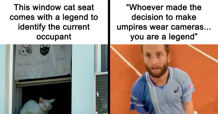 50 Wholesome Memes And Posts That Remind Us The World Isn’t All Bad