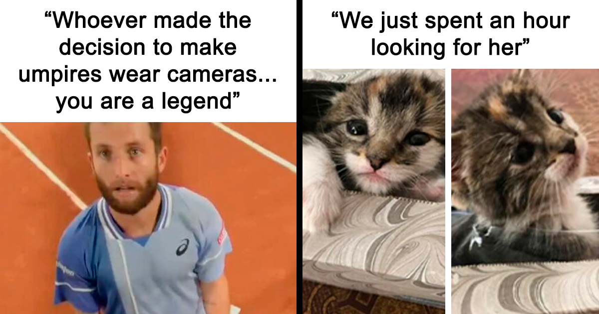 50 Wholesome Memes And Posts That Remind Us The World Isn’t All Bad ...