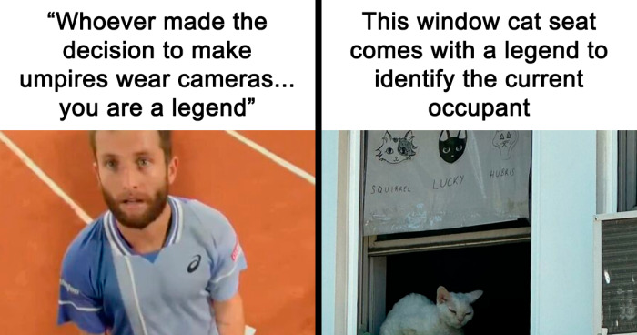 50 Wholesome Memes And Posts That Remind Us The World Isn’t All Bad