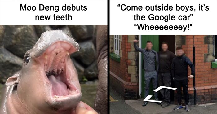 The World May Be Negative Sometimes, So Here Are 34 Adorable Tweets ...