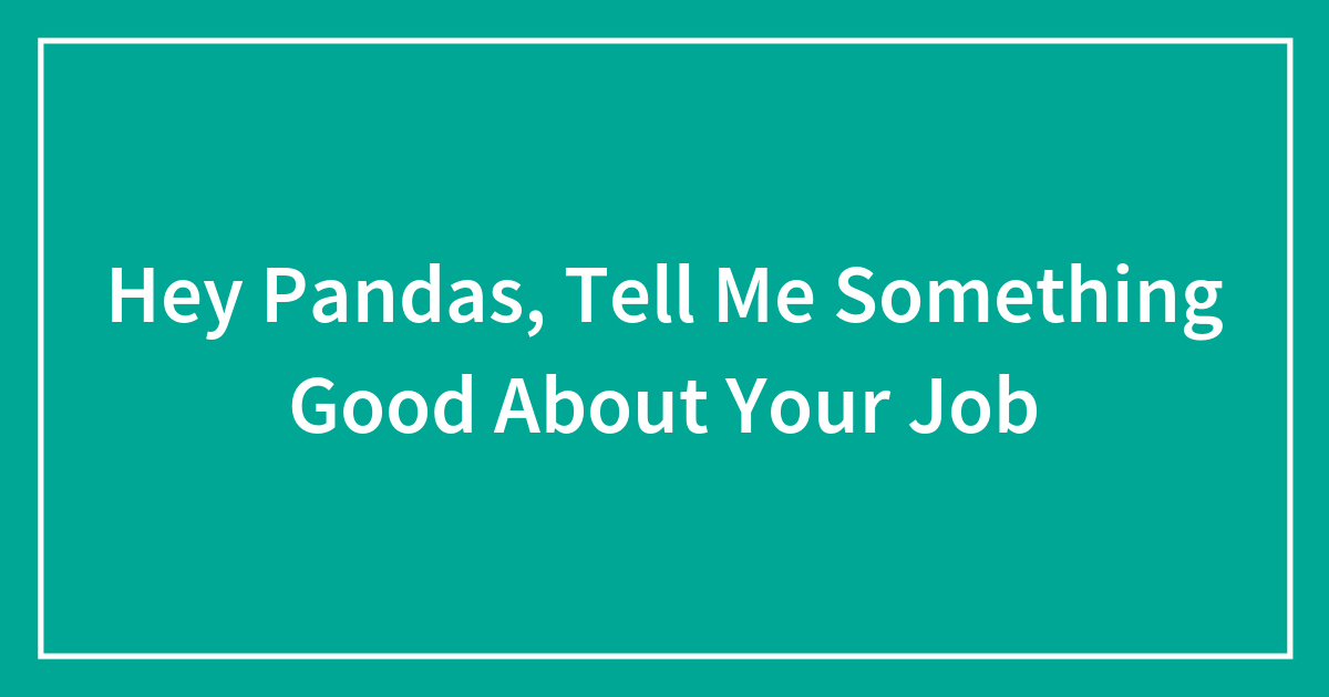 Hey Pandas, Tell Me Something Good About Your Job (Closed) | Bored Panda