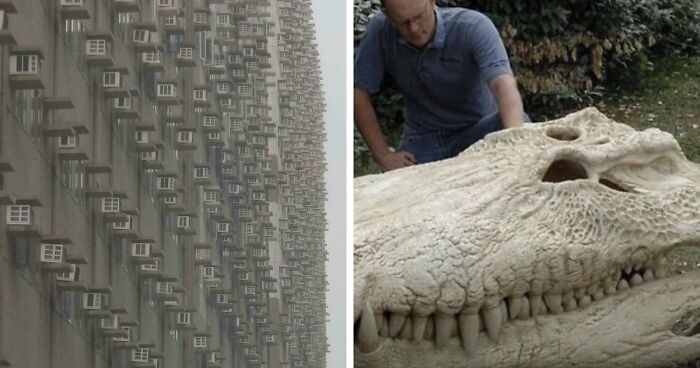 50 Photos Of Gigantic Things That Are Big “Nopes” For Anyone With ...