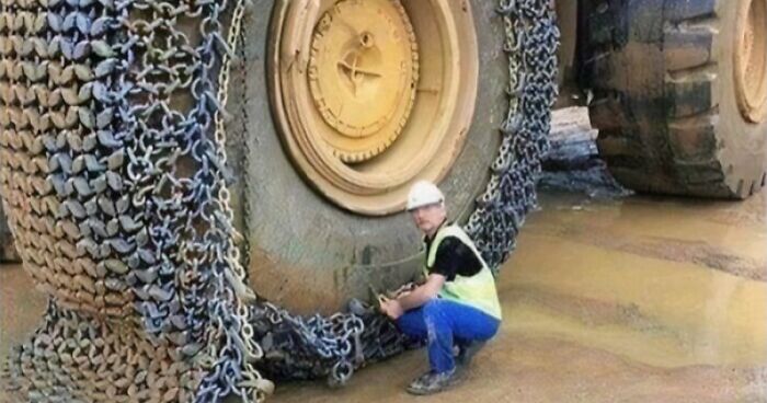 50 Photos Of Gigantic Things That Are Big “Nopes” For Anyone With ...