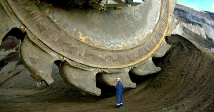 50 Photos Of Gigantic Things That Are Big “Nopes” For Anyone With ...