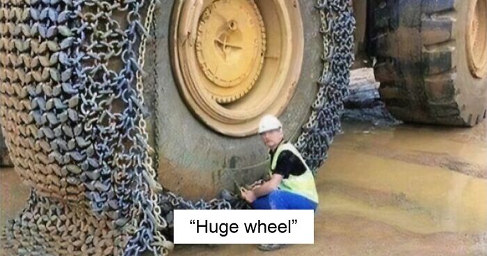 50 Photos Of Gigantic Things That Are Big “Nopes” For Anyone With ...