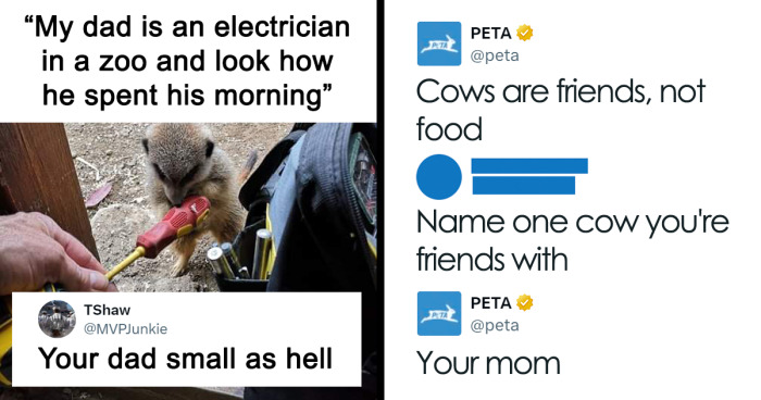 50 Funny And Awkward Animal Posts That Might Make Your Day Much Better