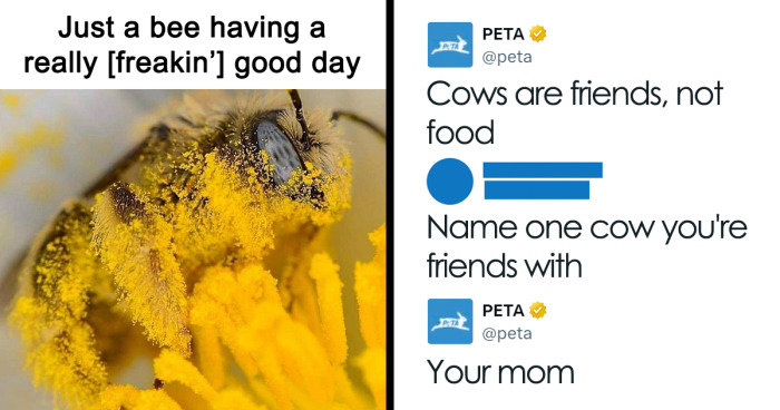 50 Funny And Awkward Animal Posts That Might Make Your Day Much Better