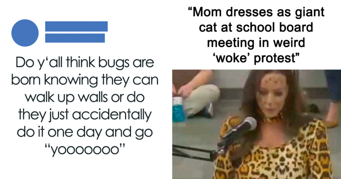 50 Screenshots That Show Sentences That Required A Lot Of Creativity To ...