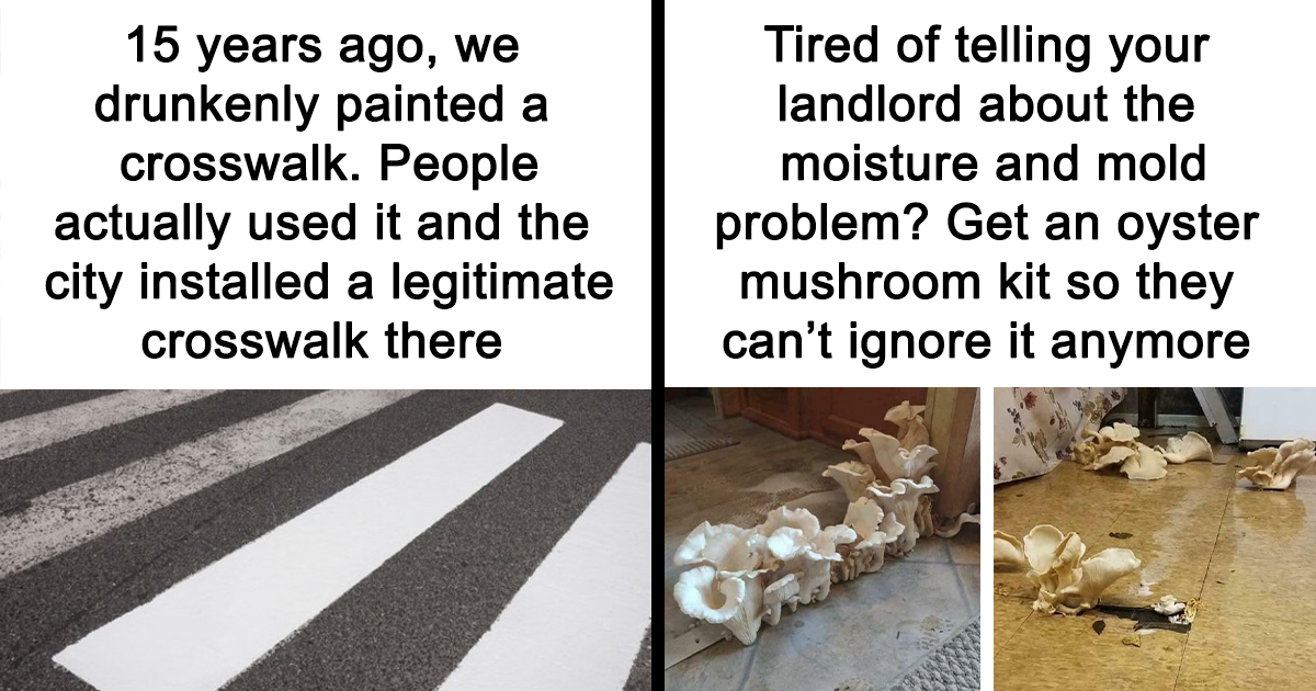 50 Examples Of ‘Chaotic Good’ Bringing Justice To The World Around Us ...