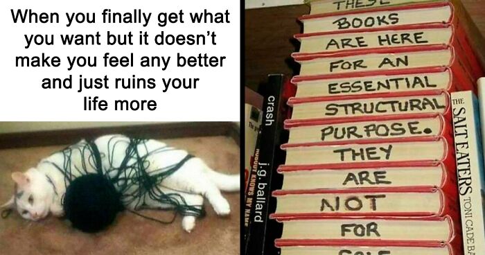 Intellectuals Are Cracking Up At These 50 Memes That Were Created ...
