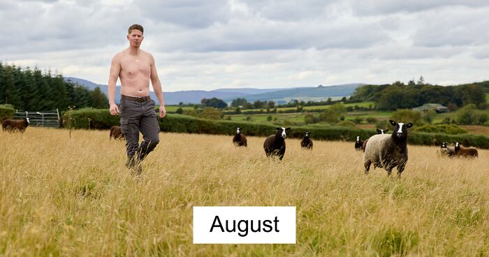 Irish Farmer Calendar For 2025 Is Finally Out, And It’s Adorably Funny ...