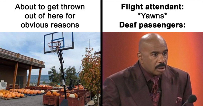 If You Desperately Need A Laugh Today, These 50 Memes Might Just Do The ...