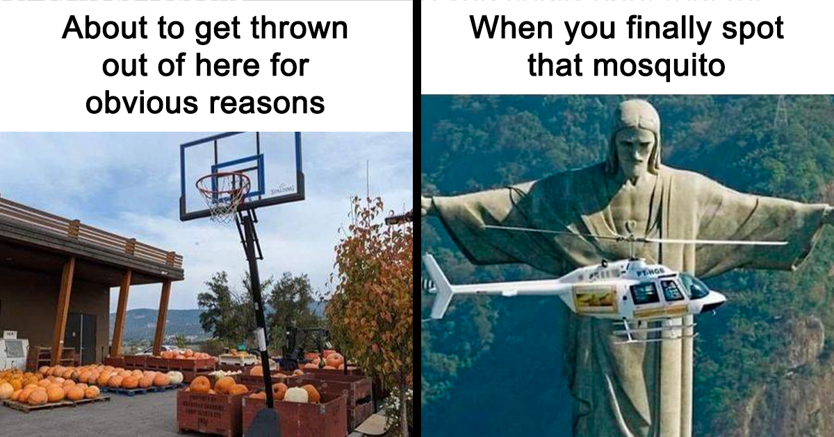 If You Desperately Need A Laugh Today, These 50 Memes Might Just Do The ...