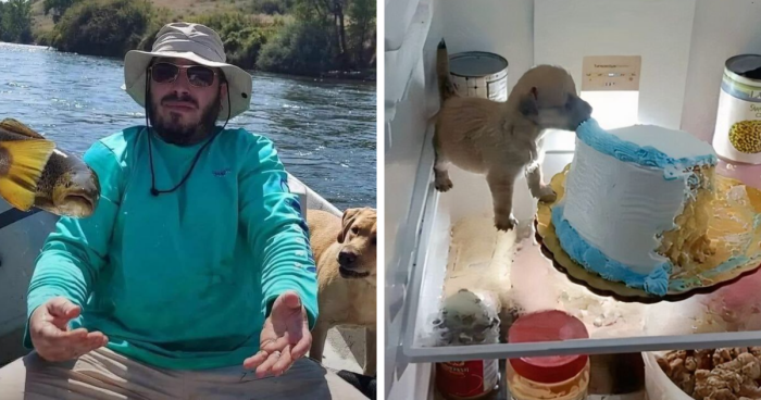 50 Hilarious Random Pics To Brighten Your Day And Distract You From ...