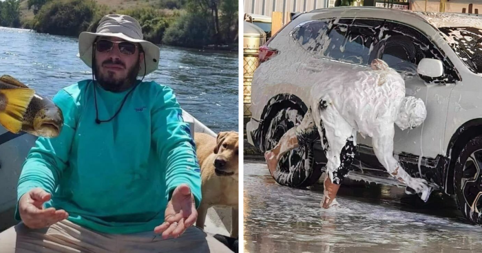 50 Hilarious Random Pics To Brighten Your Day And Distract You From ...