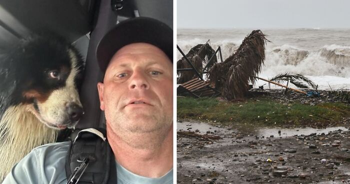 You Can Tell How Grateful This Pup Is To Be Rescued From Hurricane ...