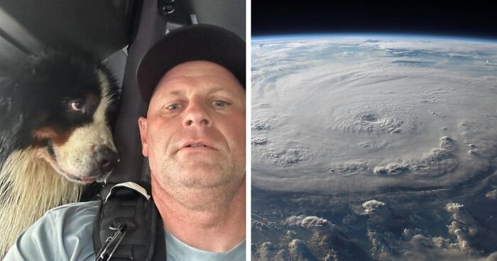 You Can Tell How Grateful This Pup Is To Be Rescued From Hurricane ...