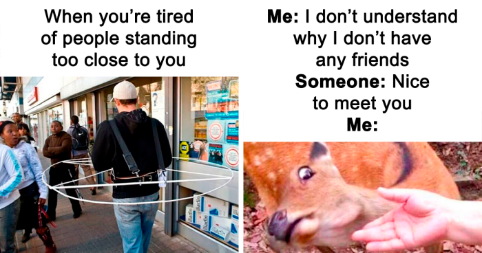 50 Funny And Relatable Memes To Sum Up Life As An Introvert