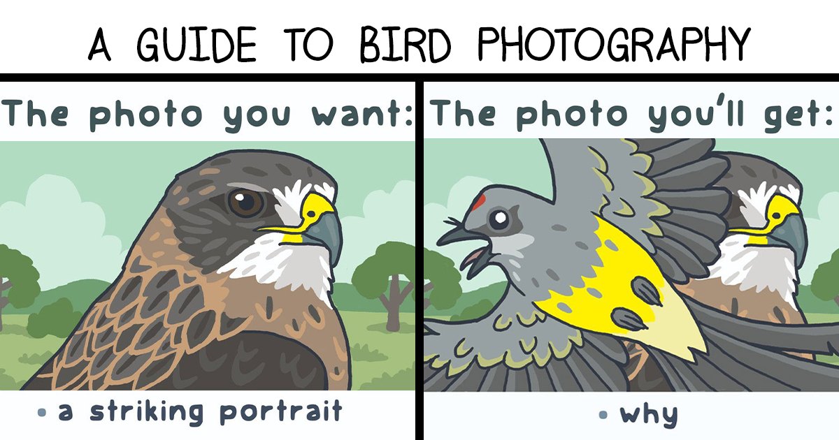 Artist Creates Comics Depicting Humorous Moments In Nature (20 New Pics ...