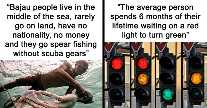 50 Unique And Random Facts You Can Use In Conversations When You Run ...