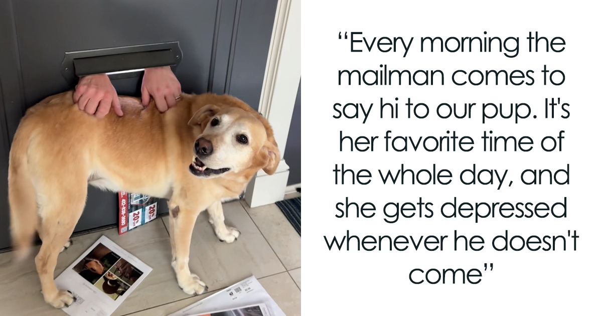 Mailman Finds A Hilarious Way To Greet Beloved Dog Each Morning On His ...