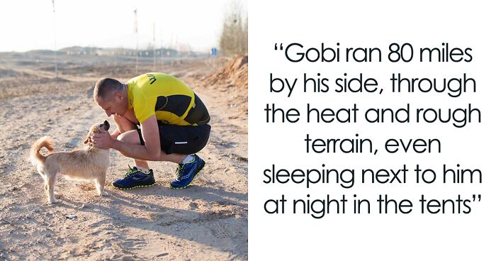 Stray Dog Runs 80 Miles With Athlete In Chinese Desert, Finds A New ...