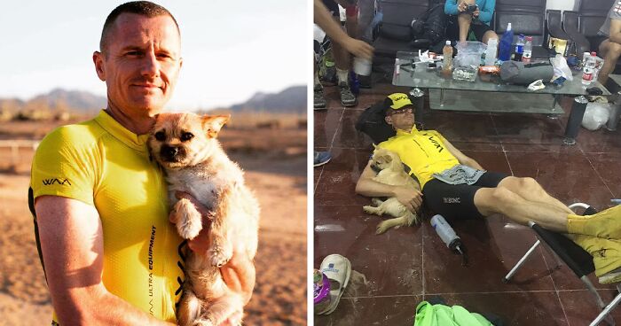Stray Dog Runs 80 Miles With Athlete In Chinese Desert, Finds A New ...