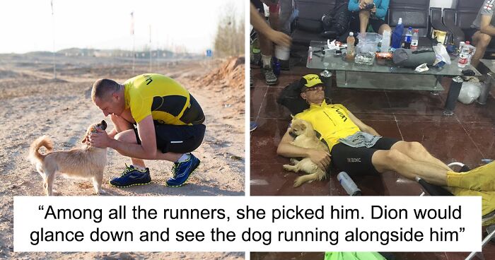 Stray Dog Runs 80 Miles With Athlete In Chinese Desert, Finds A New ...