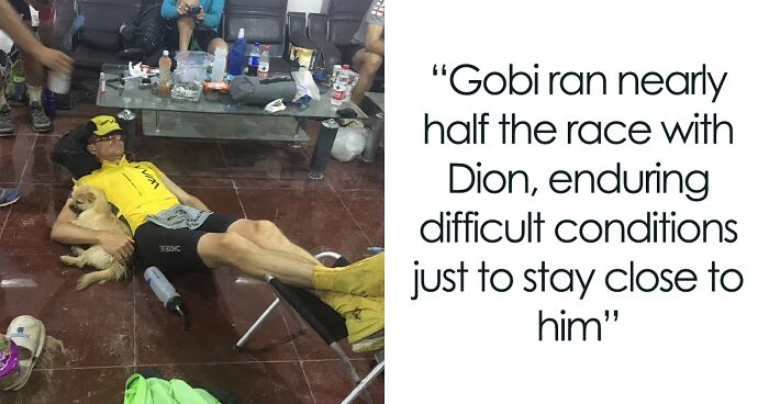 Stray Dog Runs 80 Miles With Athlete In Chinese Desert, Finds A New ...