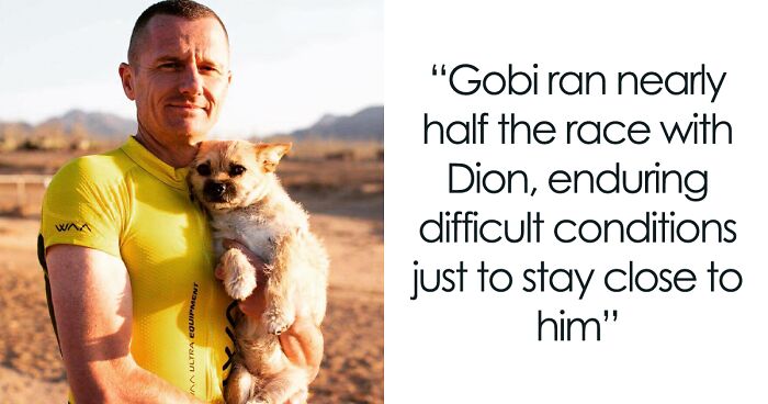 Stray Dog Runs 80 Miles With Athlete In Chinese Desert, Finds A New ...
