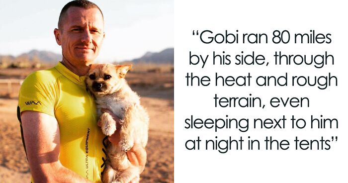 Stray Dog Runs 80 Miles With Athlete In Chinese Desert, Finds A New ...