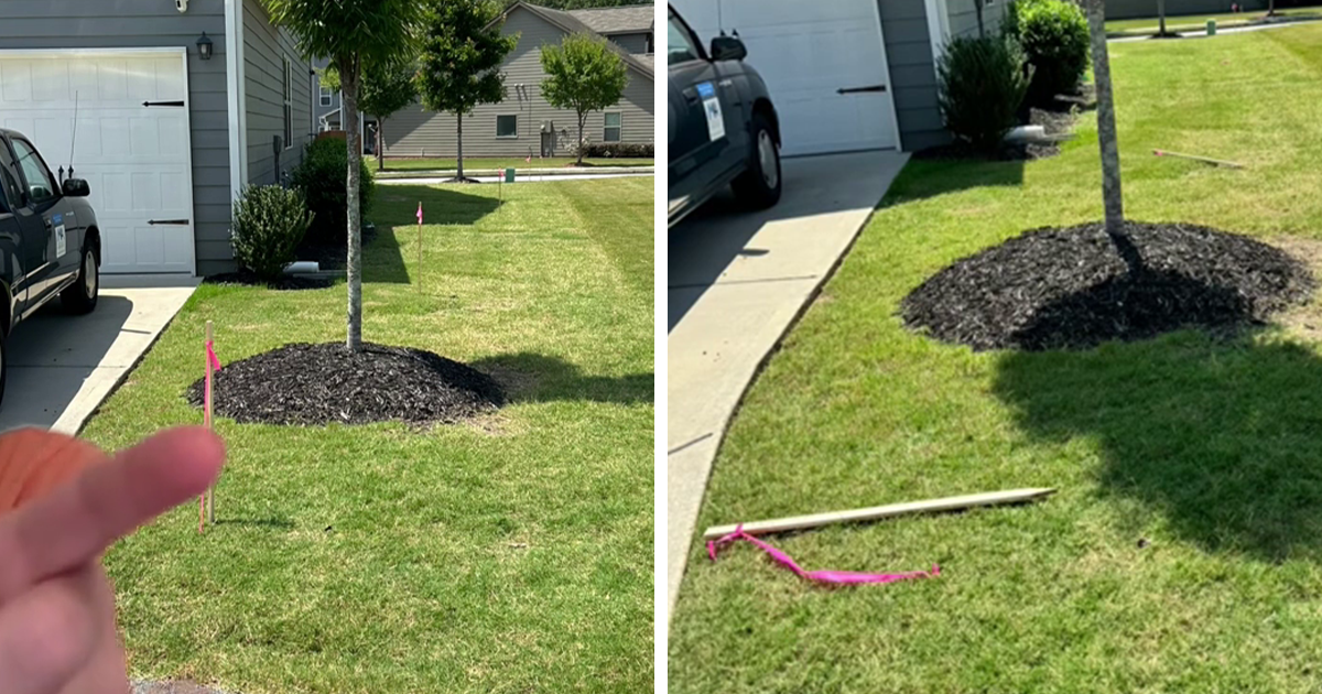 “I Was Trying To Be Kind”: Woman Gives Neighbor A Shot At Bigger Lawn ...