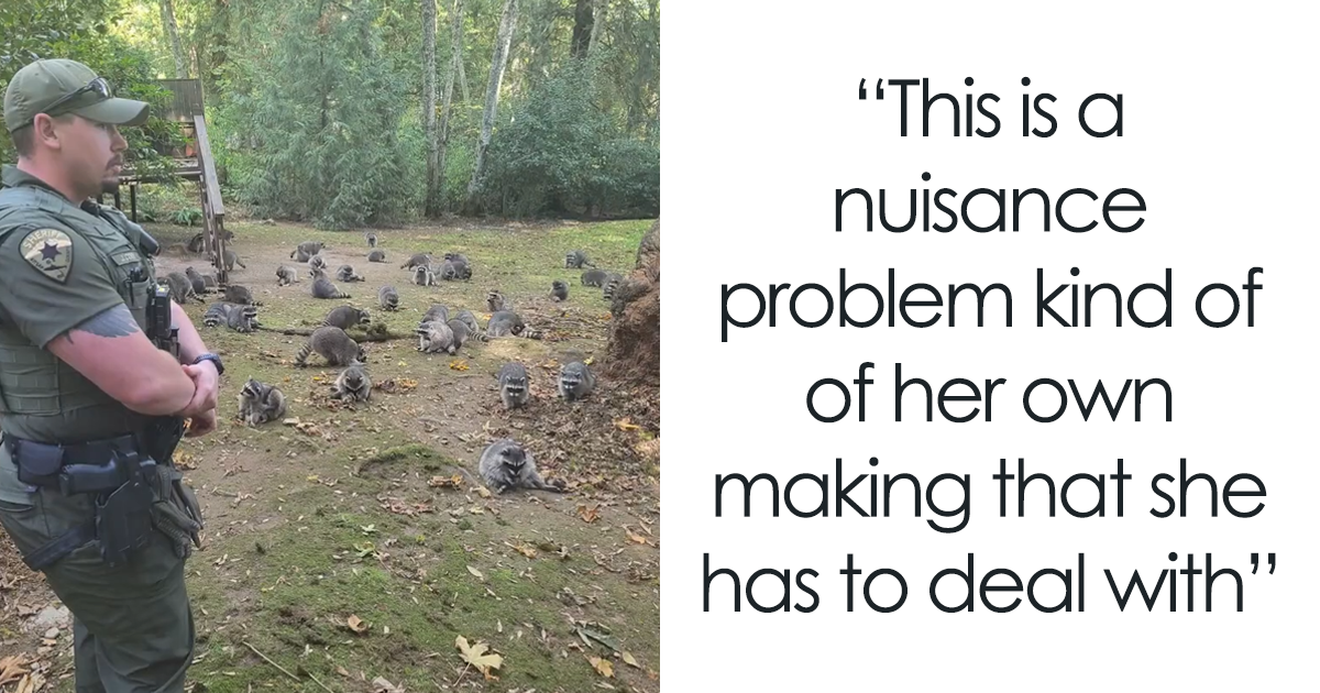 Wild Raccoons Who Were Being Fed By Woman For 35 Years Turn Aggressive ...