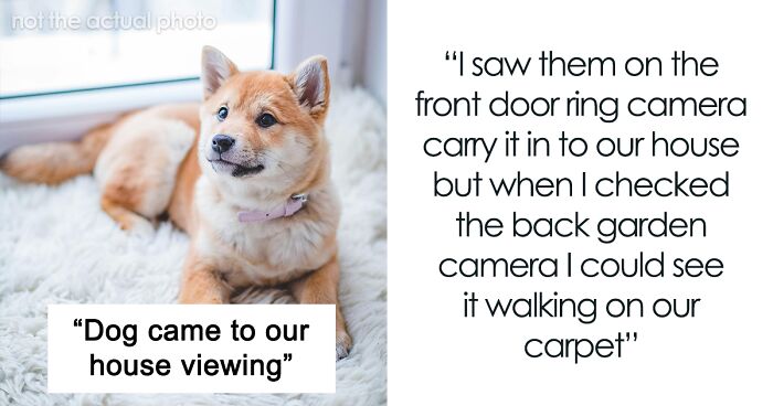 Estate Agent Allows Buyer’s Dog Into Family Home, Security Footage ...