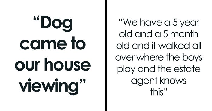 Estate Agent Allows Buyer’s Dog Into Family Home, Security Footage ...