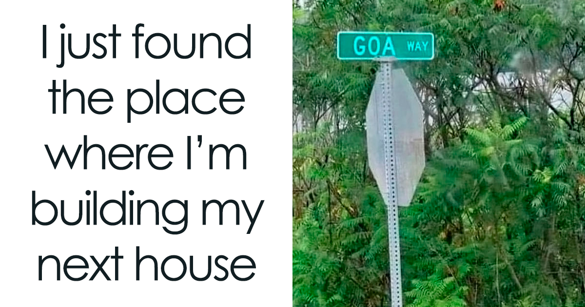 “How Mental”: 30 Hilarious Memes For Anyone Struggling To Stay Sane ...