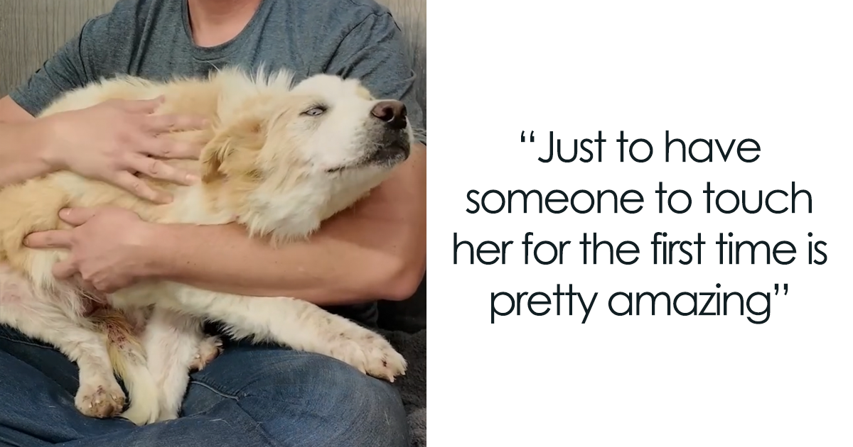Video About Shelter Pup Getting Cuddles For The First Time Is Melting ...